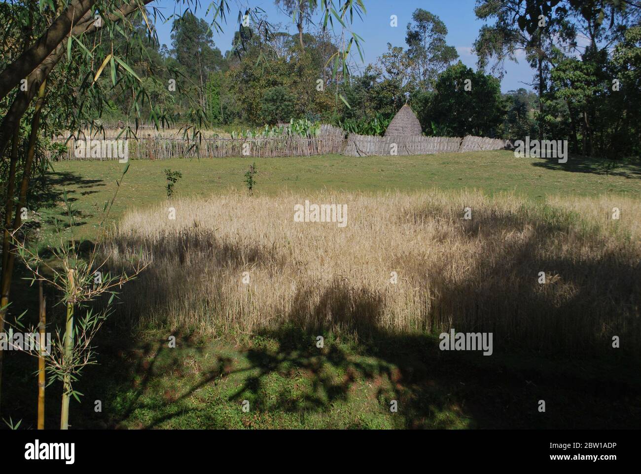 Dorze ethiopia hi-res stock photography and images - Alamy