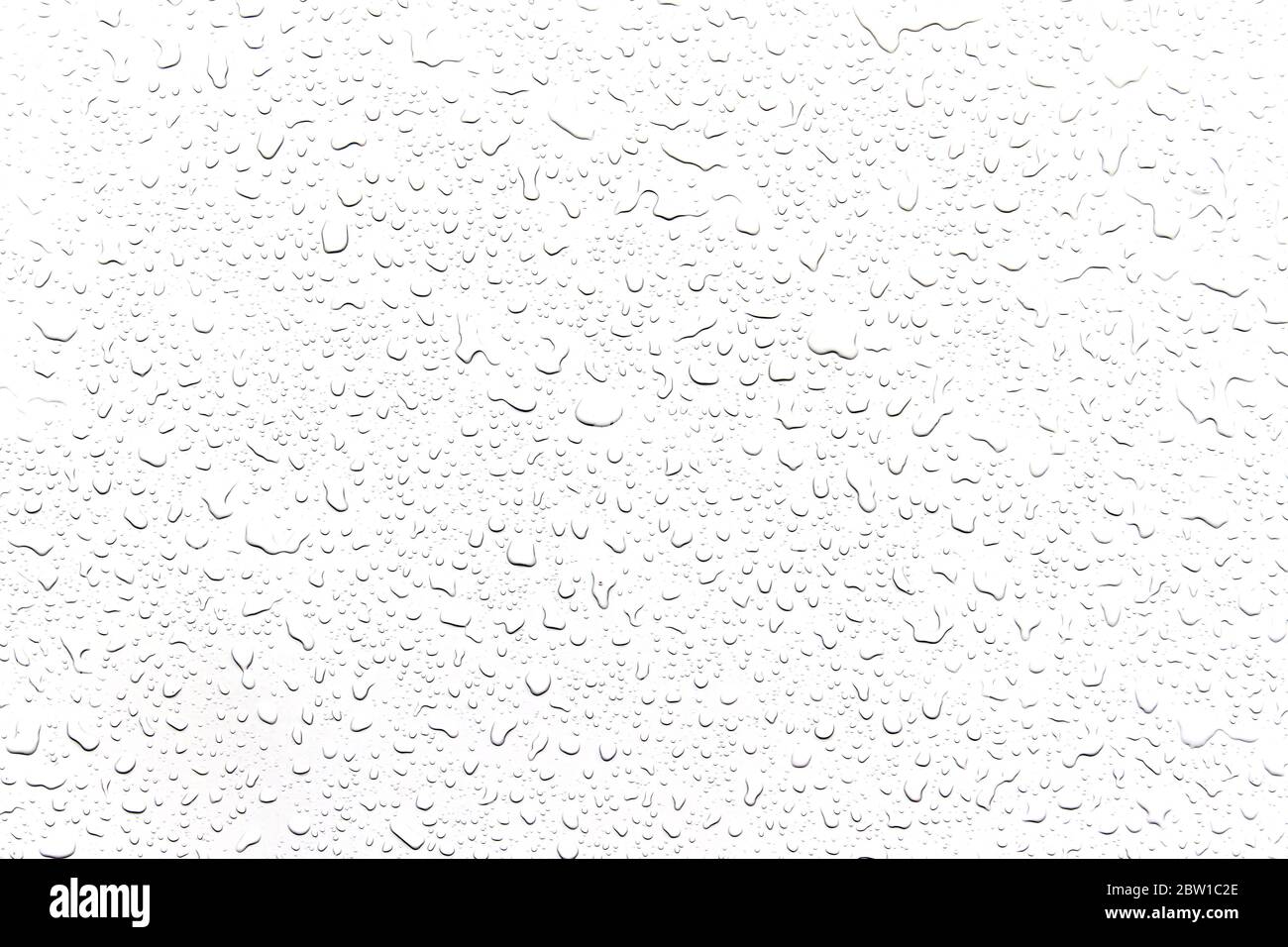 The concept of water drops on a white background Stock Photo - Alamy