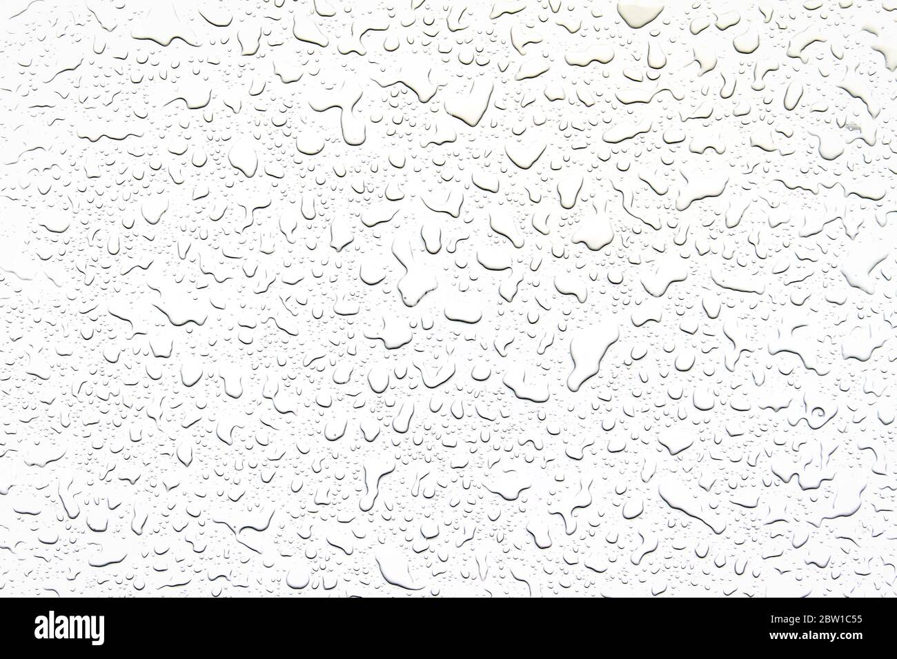 The concept of water drops on a white background Stock Photo - Alamy