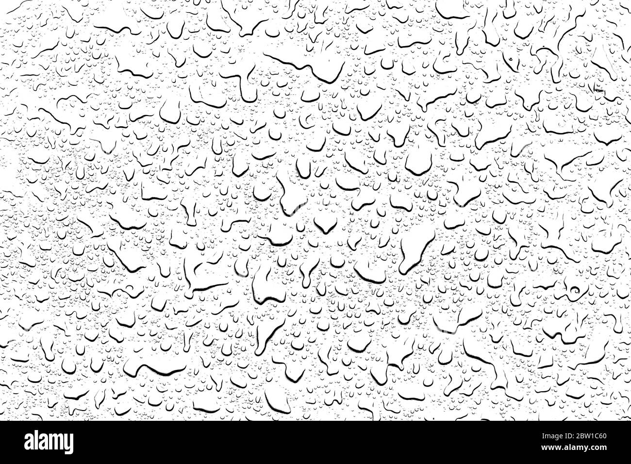 The concept of water drops on a white background Stock Photo - Alamy
