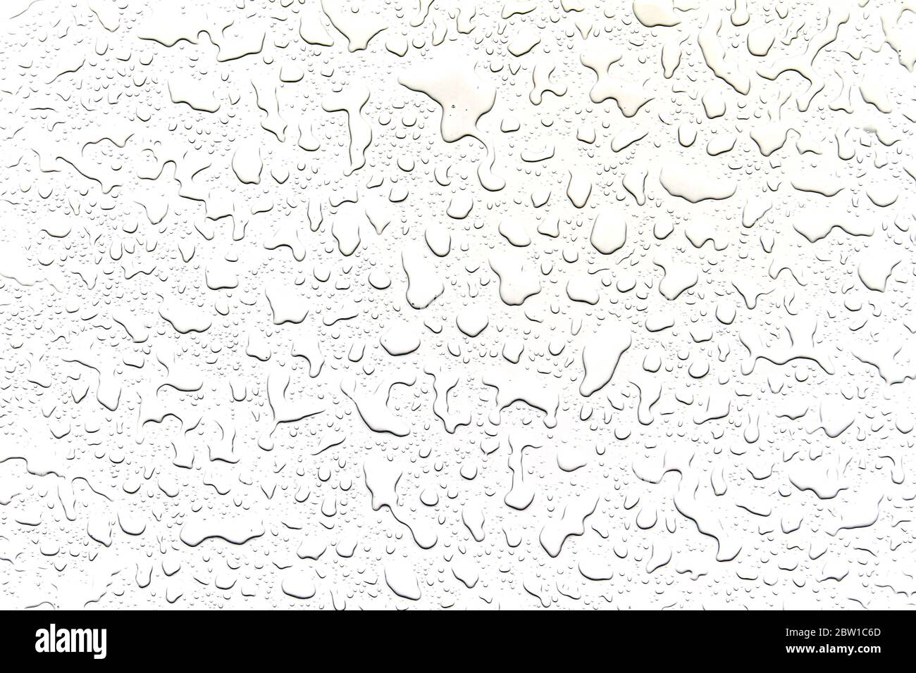 The concept of water drops on a white background Stock Photo - Alamy