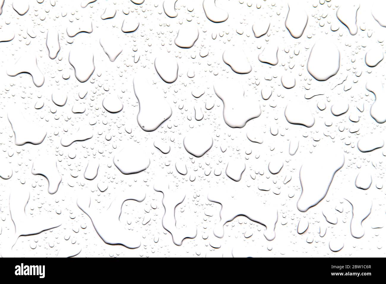 The concept of water drops on a white background Stock Photo - Alamy
