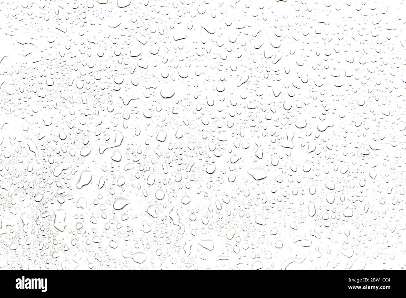 The concept of water drops on a white background Stock Photo - Alamy