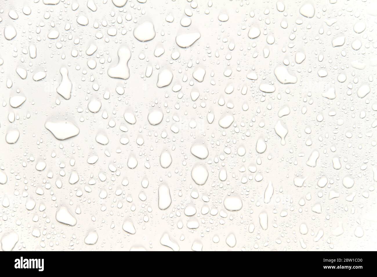 The concept of water drops on a white background Stock Photo - Alamy
