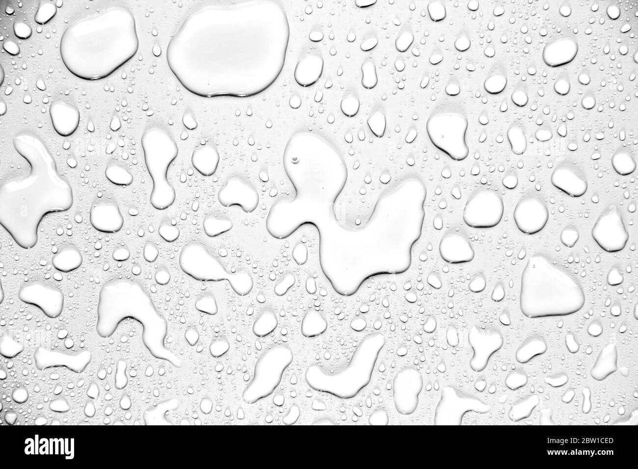 The concept of water drops on a white background Stock Photo - Alamy