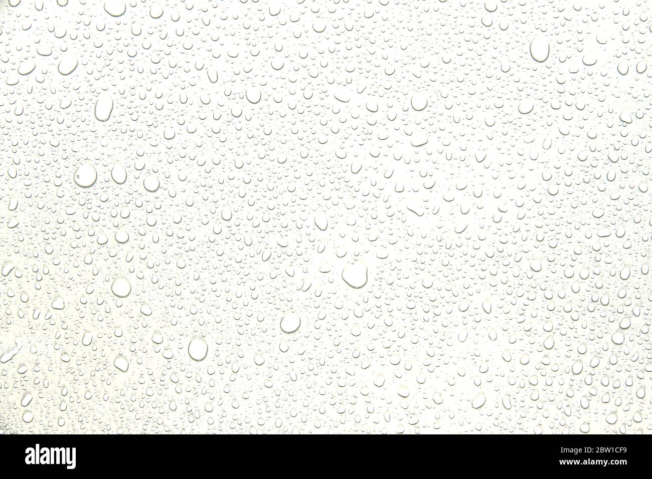 The concept of water drops on a white background Stock Photo - Alamy