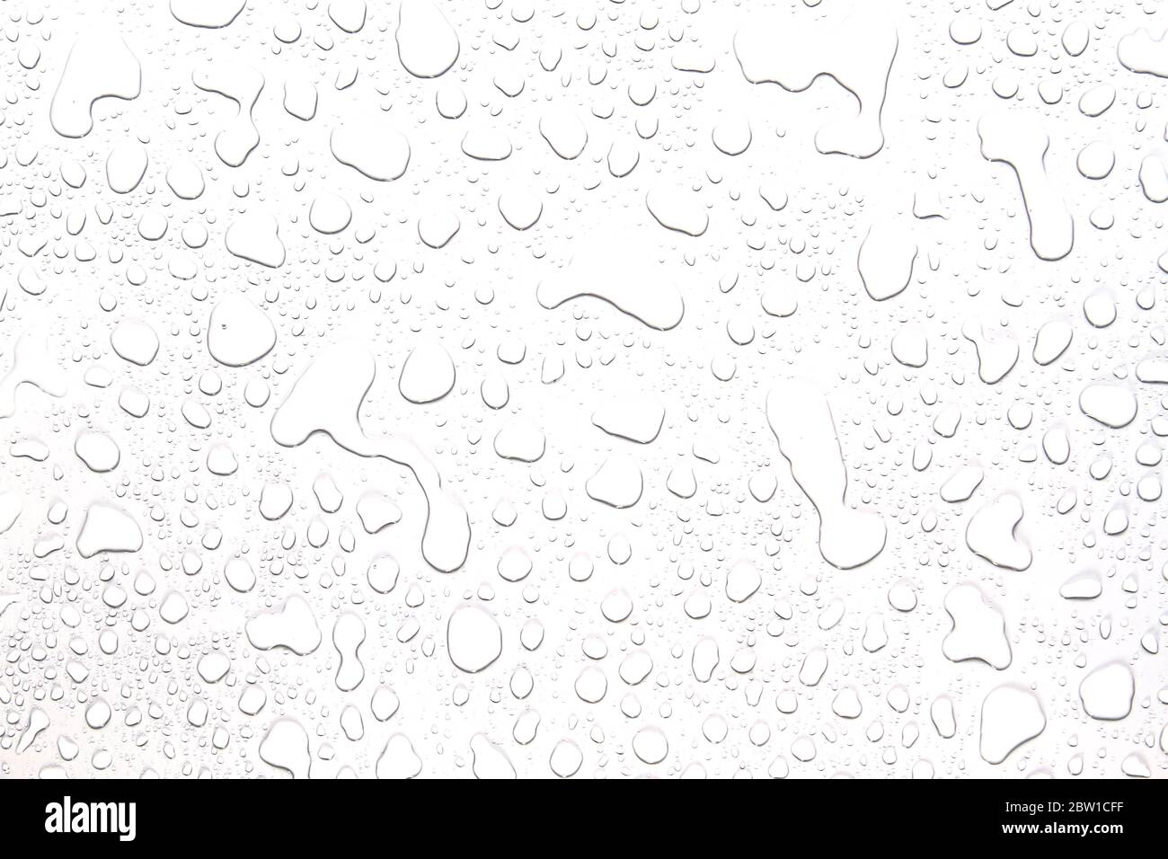 The concept of water drops on a white background Stock Photo - Alamy