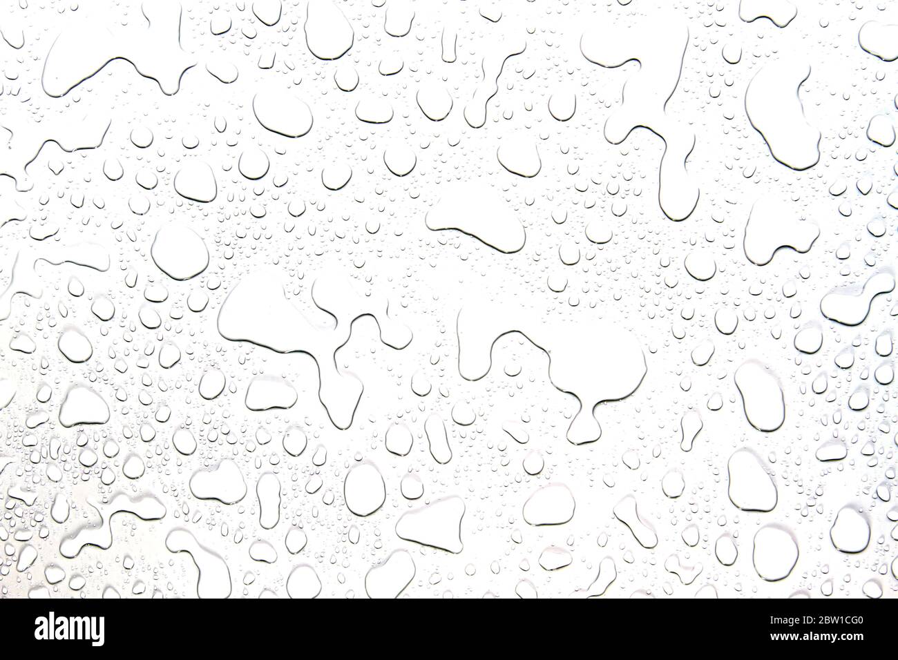 The concept of water drops on a white background Stock Photo - Alamy