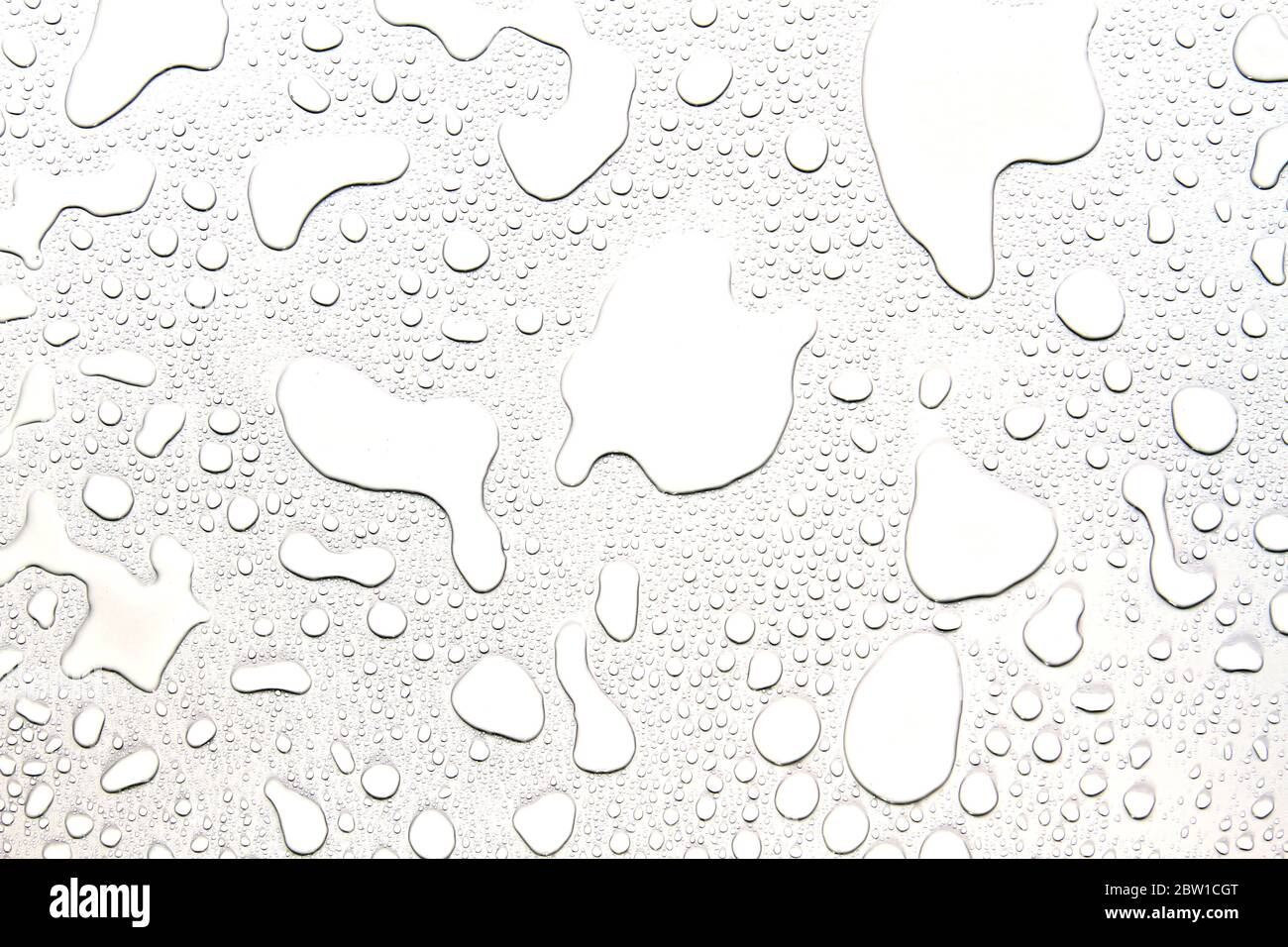 The concept of water drops on a white background Stock Photo - Alamy