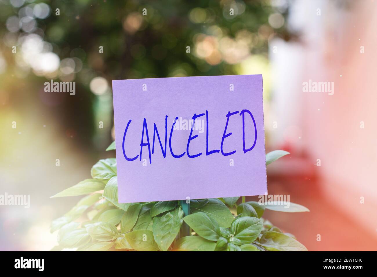 Handwriting text Canceled. Conceptual photo to decide not to conduct or ...