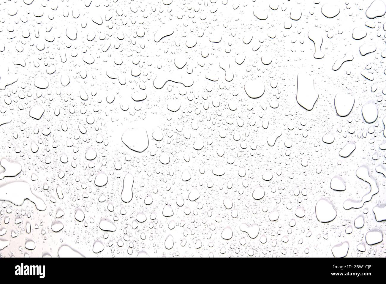 The concept of water drops on a white background Stock Photo - Alamy