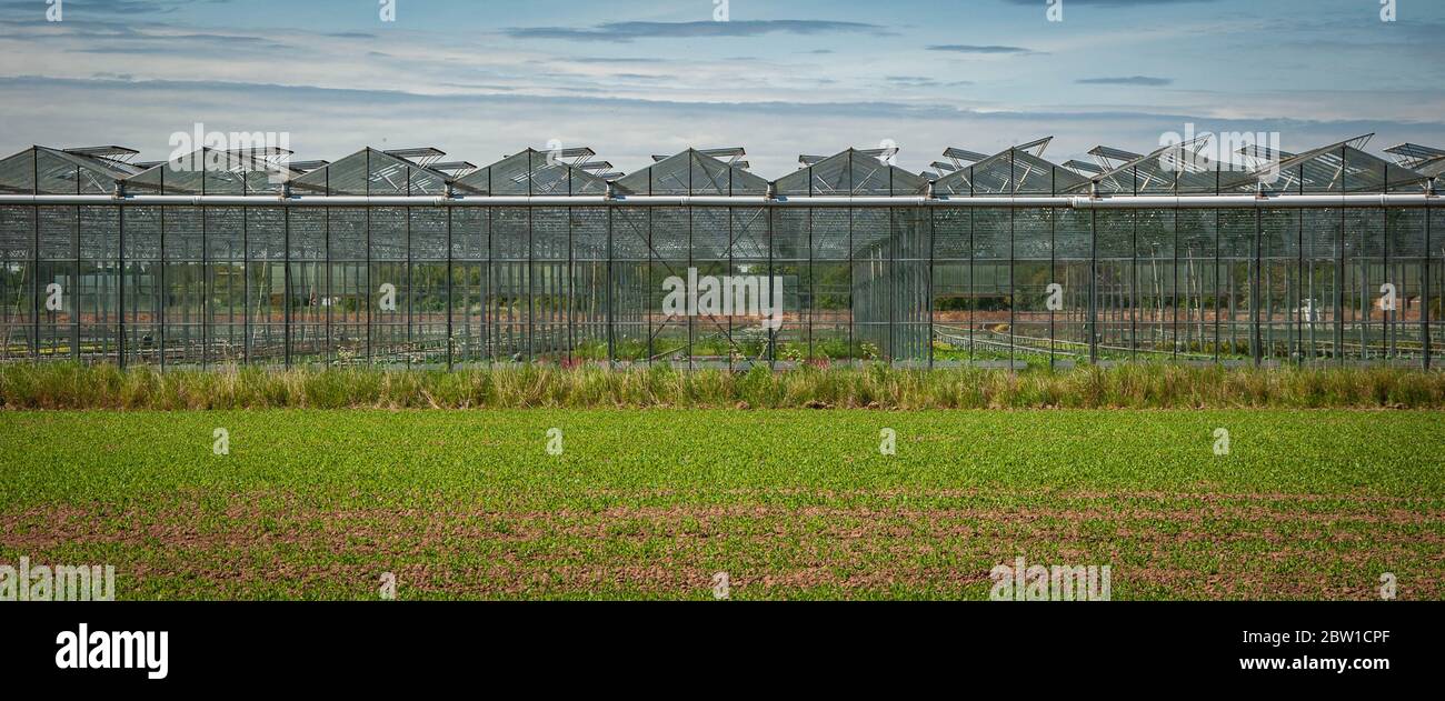 Greenhouse Windows Open High Resolution Stock Photography and Images ...