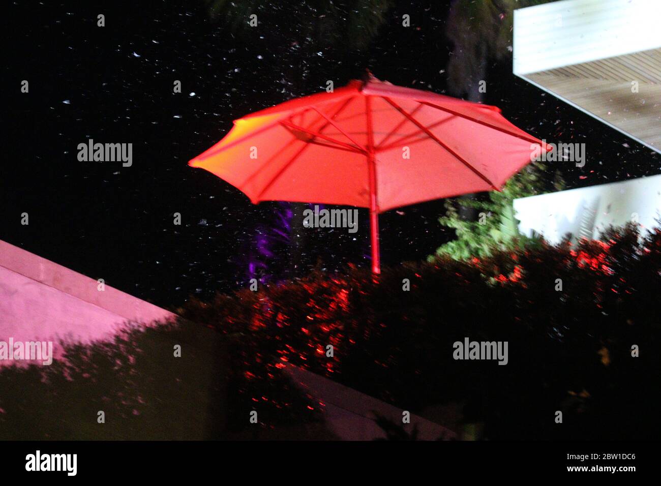 Erica packer hi-res stock photography and images - Alamy