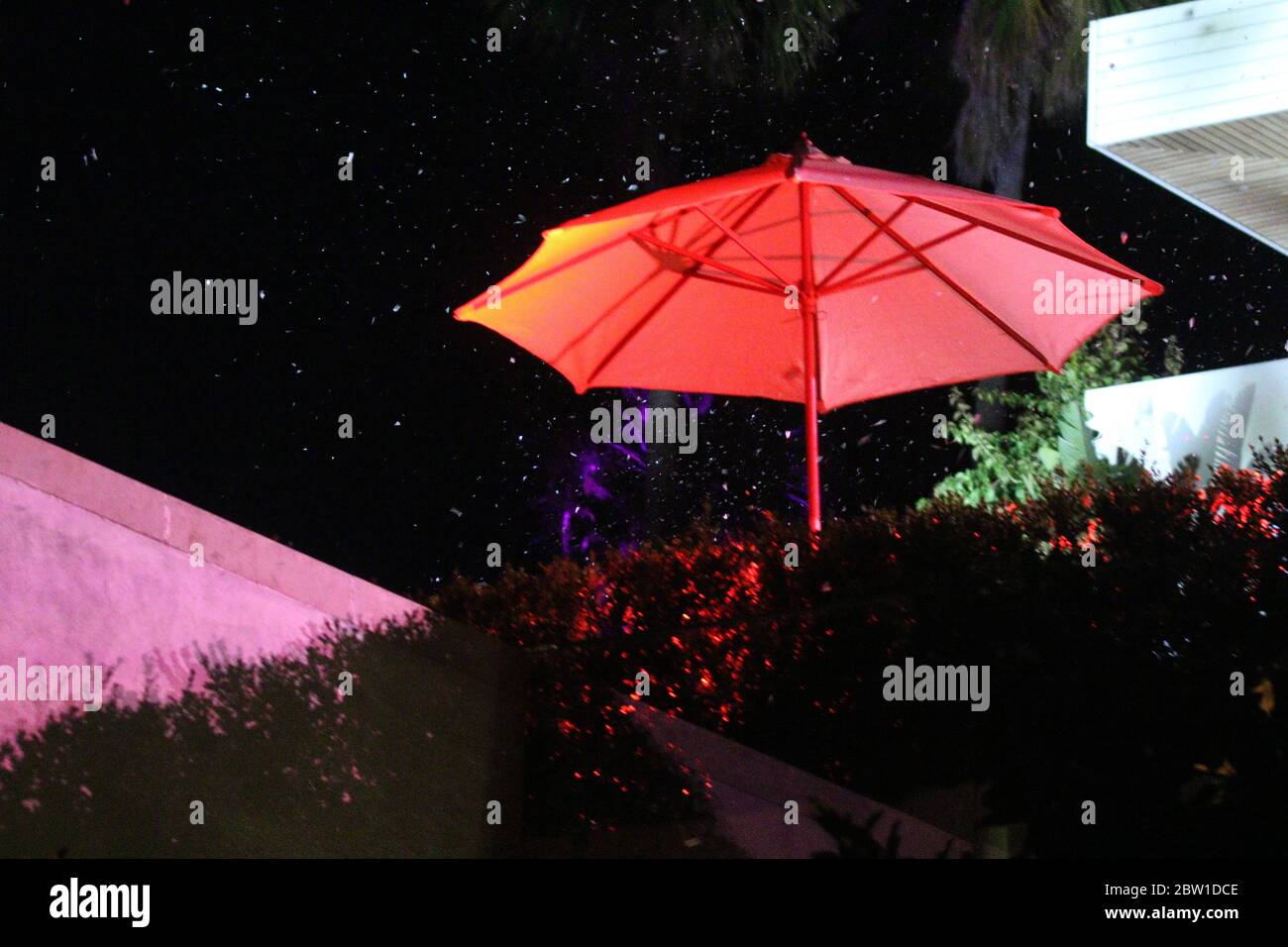 Erica packer hi-res stock photography and images - Alamy