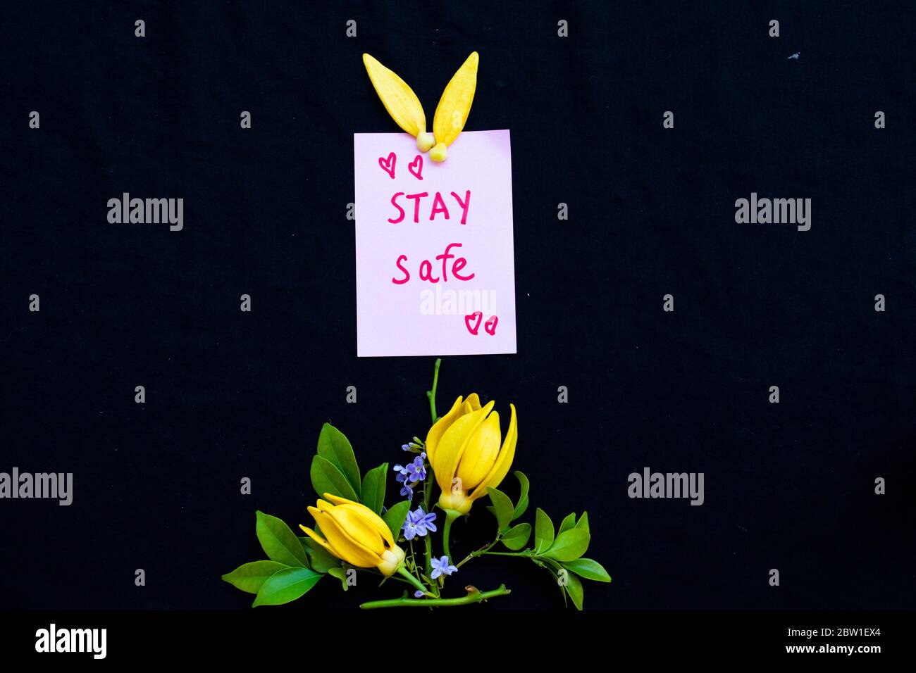 stay safe message card handwriting with yellow flowers ylang ylang ...