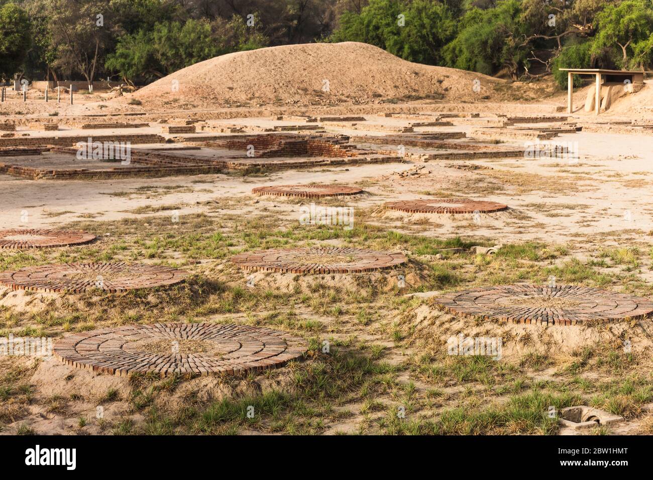 Archaeological site of Harappa, Harappan Civilisation, Indus Valley ...