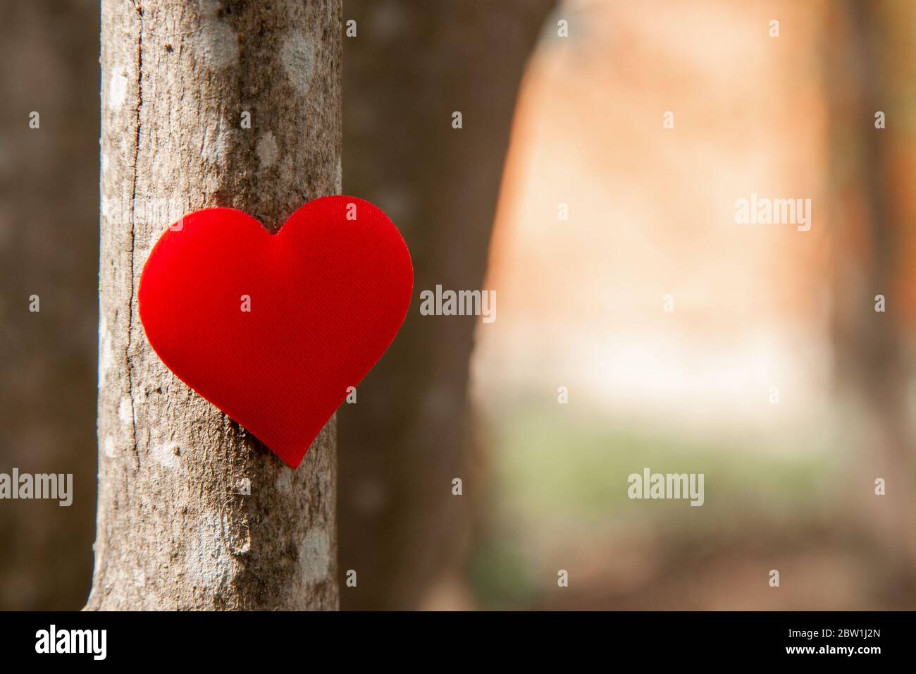 Couple lovely tree heart hi-res stock photography and images - Alamy