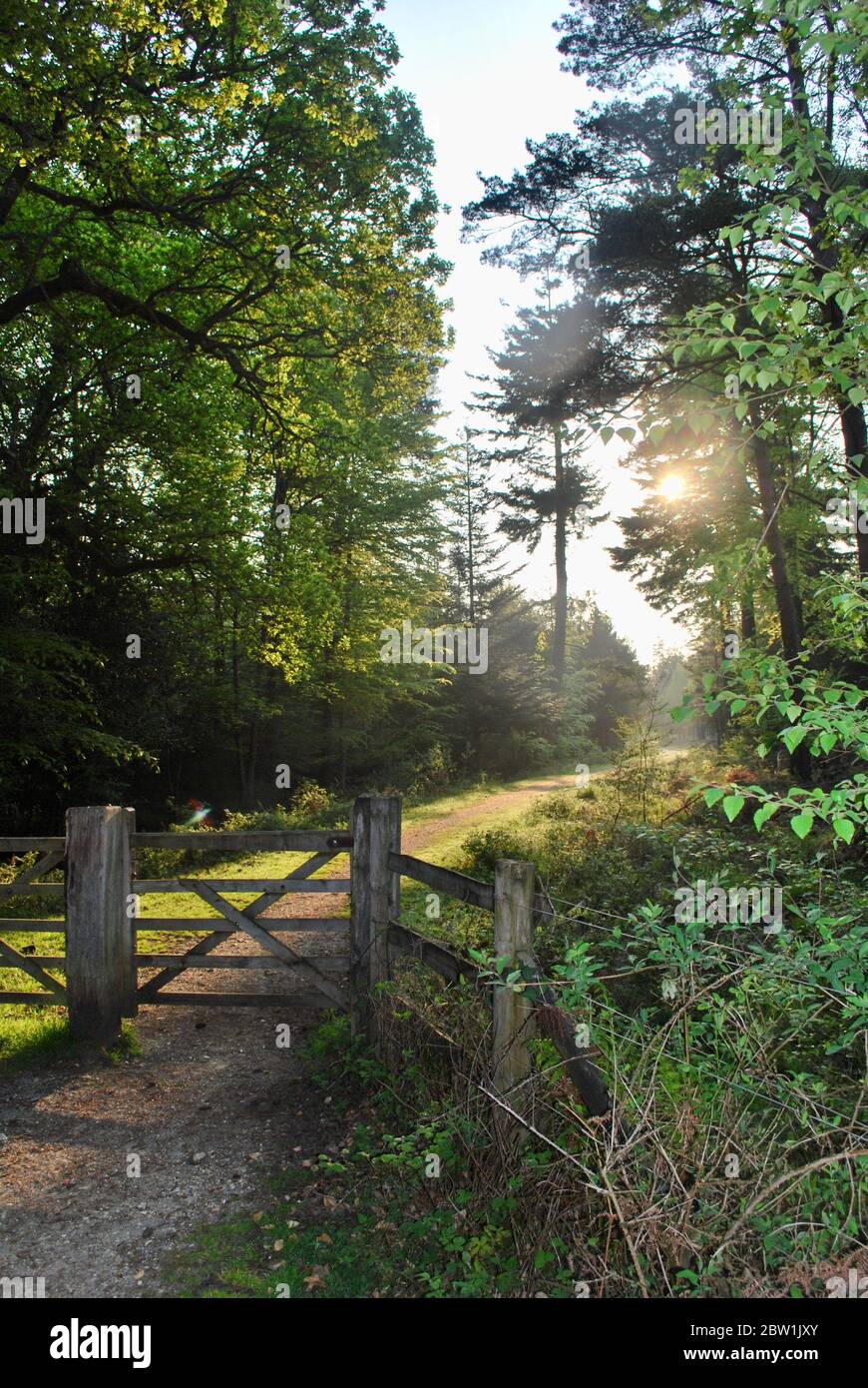 Burley gate hi-res stock photography and images - Alamy