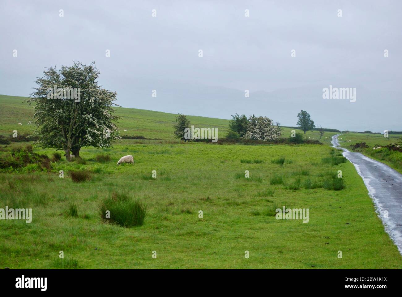Llanbedr hi-res stock photography and images - Alamy