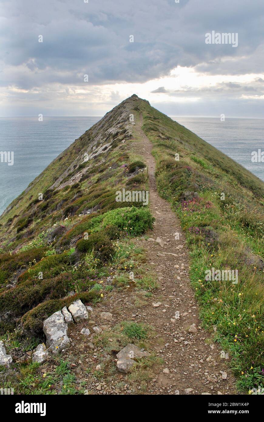 Sharpnose Point, Bude, Devon, England Stock Photo - Alamy