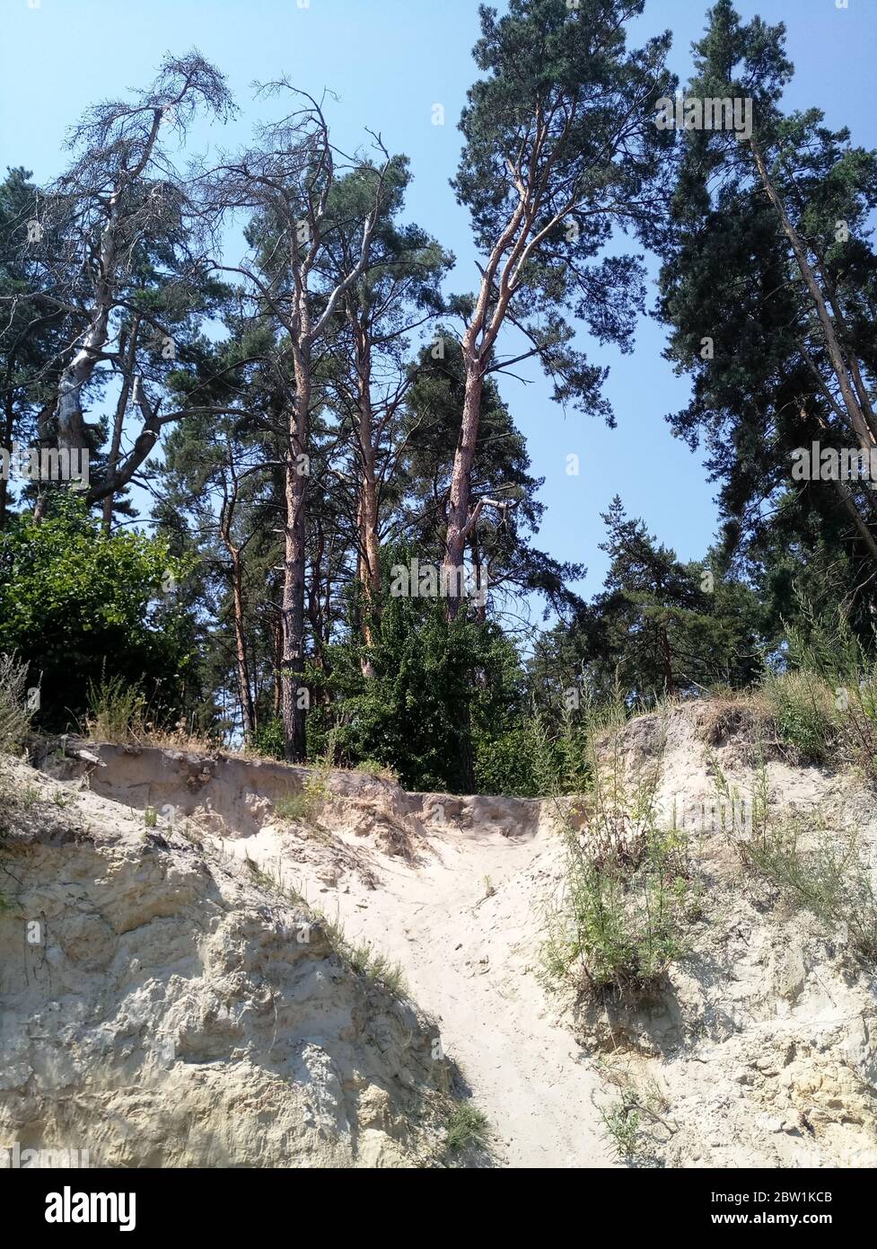 a river bank with cliff and trees Stock Photo - Alamy