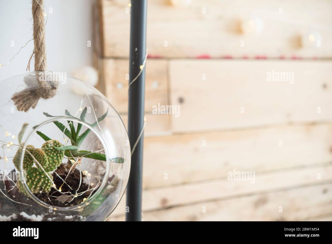 round pot with cactus in the room Stock Photo - Alamy