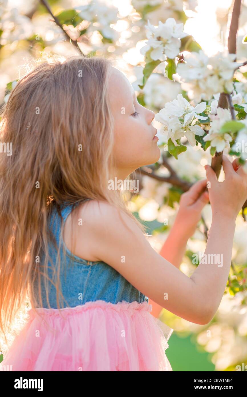 Adorable little girl in blooming apple garden on beautiful spring day Stock Photo - Alamy