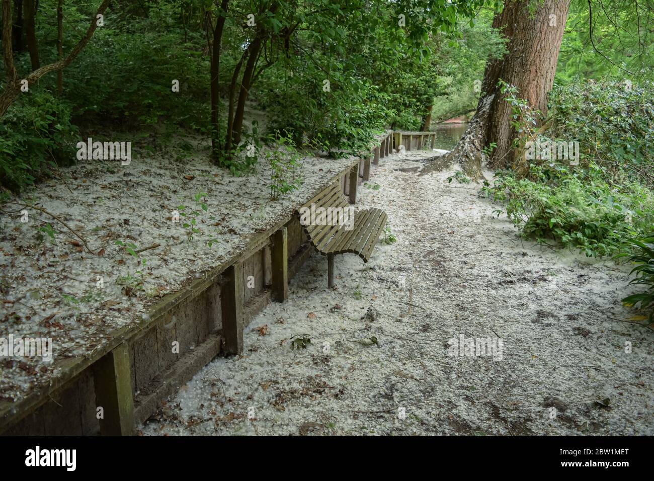 PANORAMIC VIEW FROM NATURAL PARK IN CHRISTCHURCH, NEW ZEALAND Stock ...