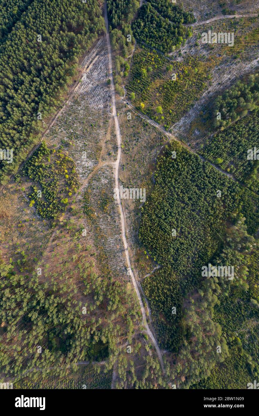 road through the forest, top view Stock Photo - Alamy