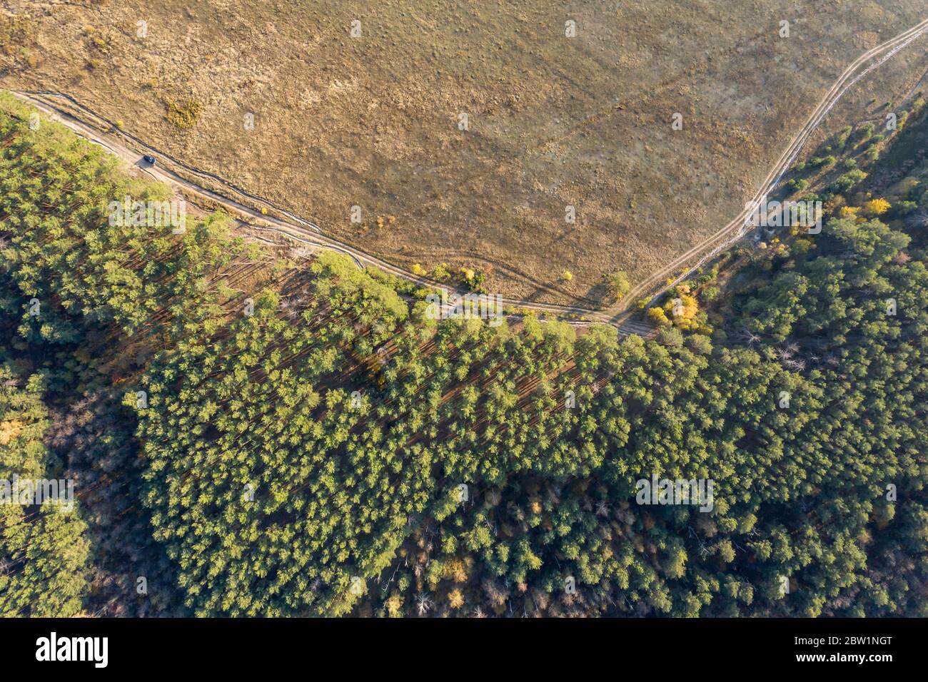 road through the forest, top view Stock Photo - Alamy