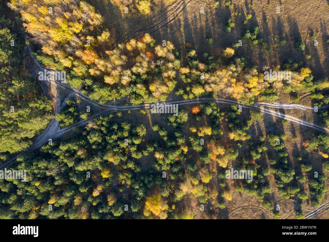 road through the forest, top view Stock Photo - Alamy