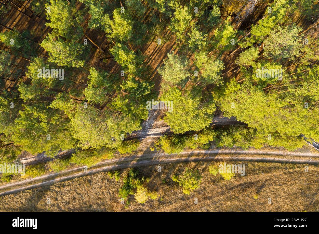 road through the forest, top view Stock Photo - Alamy