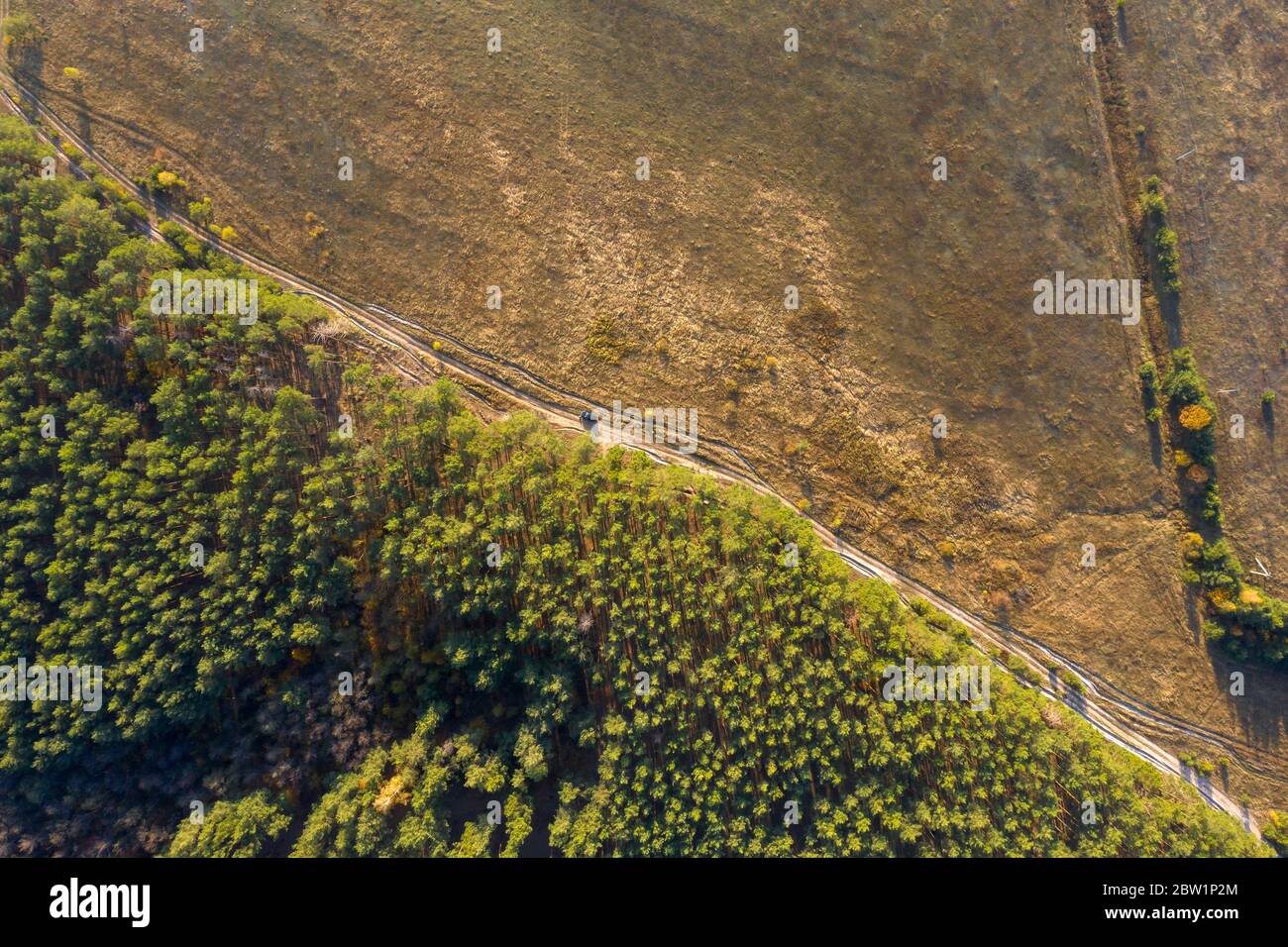 road through the forest, top view Stock Photo - Alamy