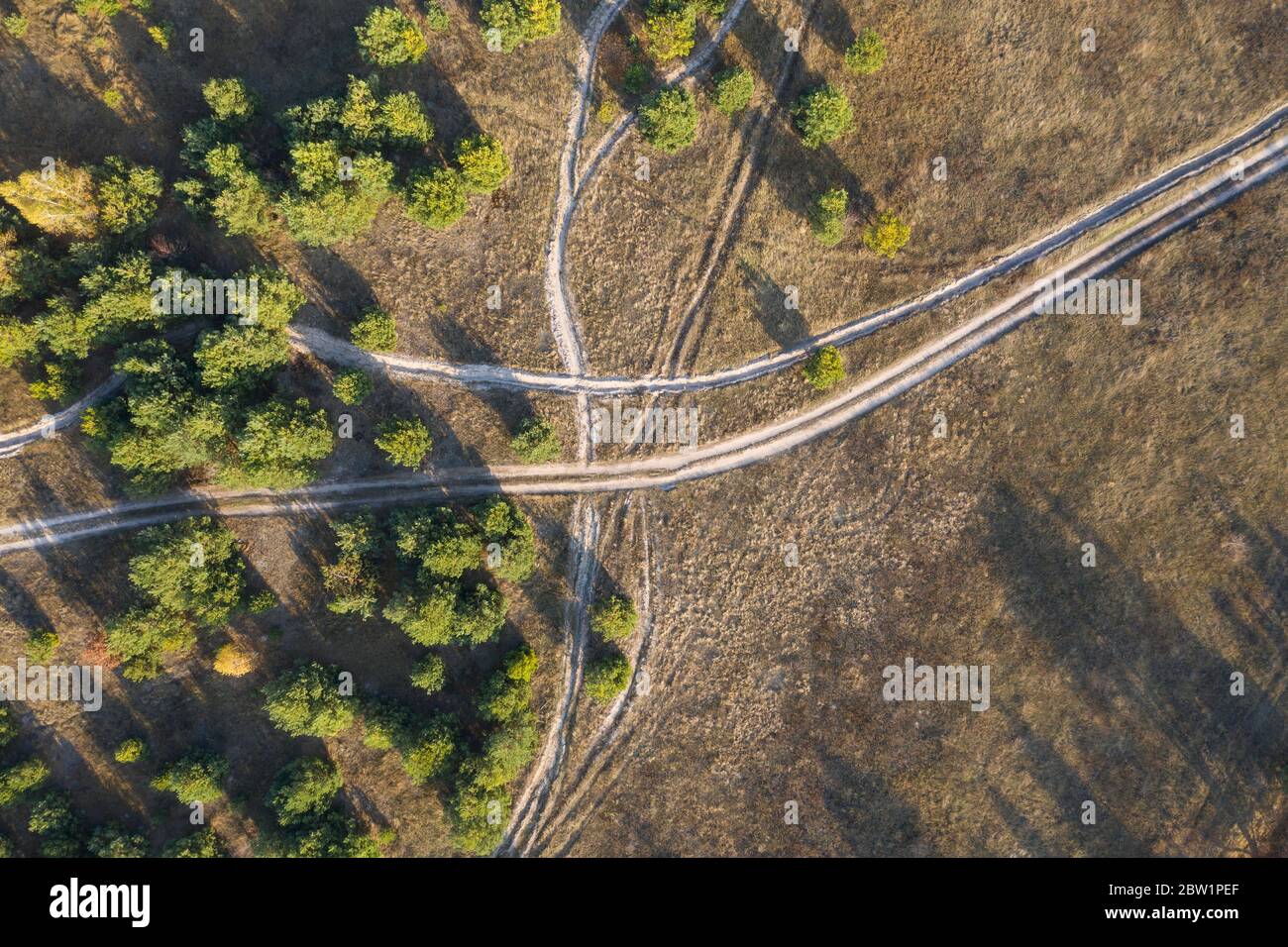road through the forest, top view Stock Photo - Alamy