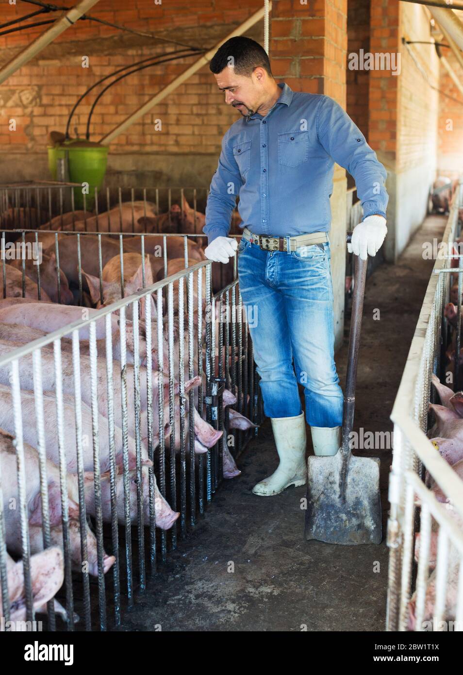 Positive mature man farmer standing with shovel next to enclosure fence ...
