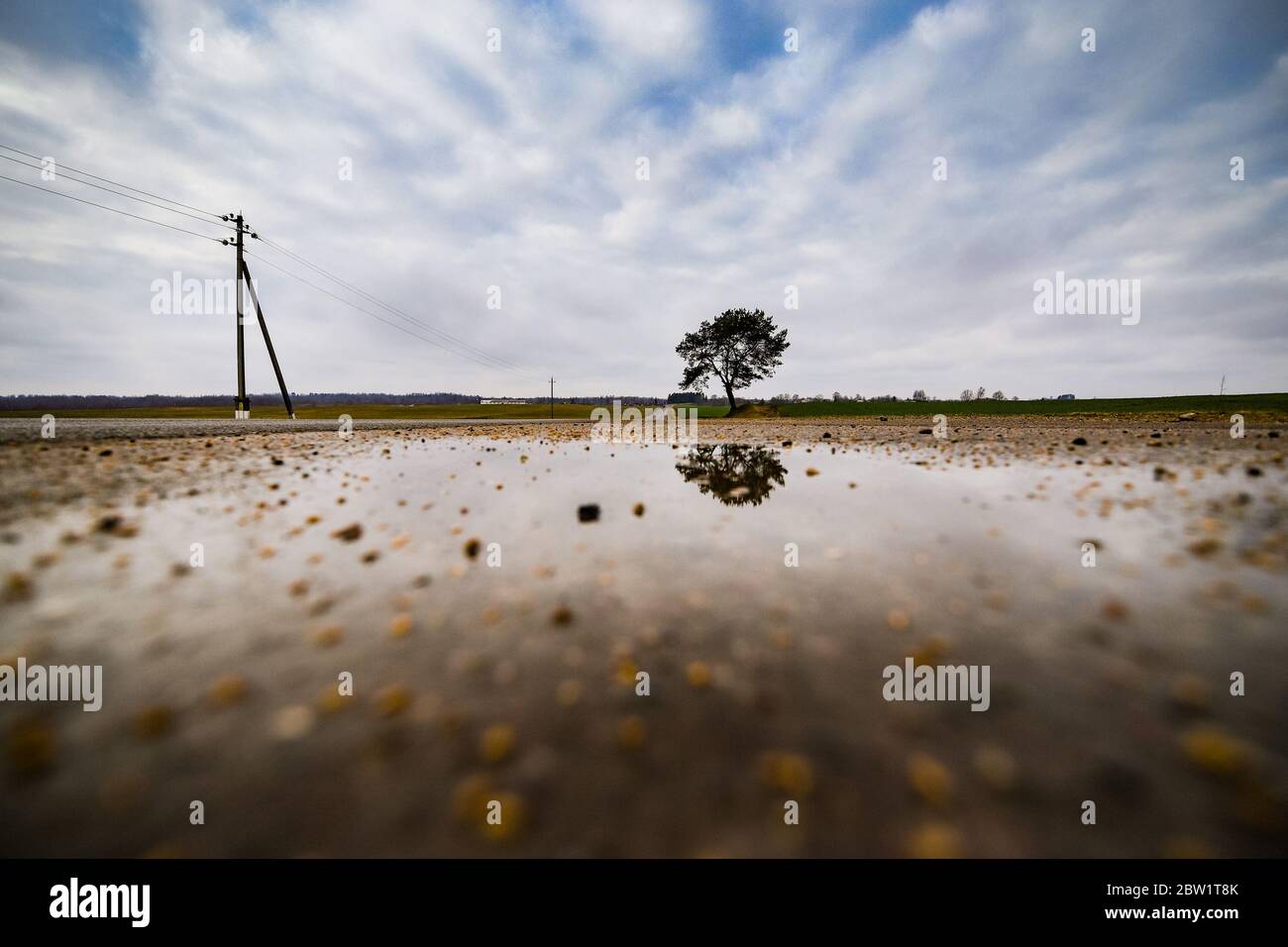 highway landscape with tree and road Stock Photo - Alamy