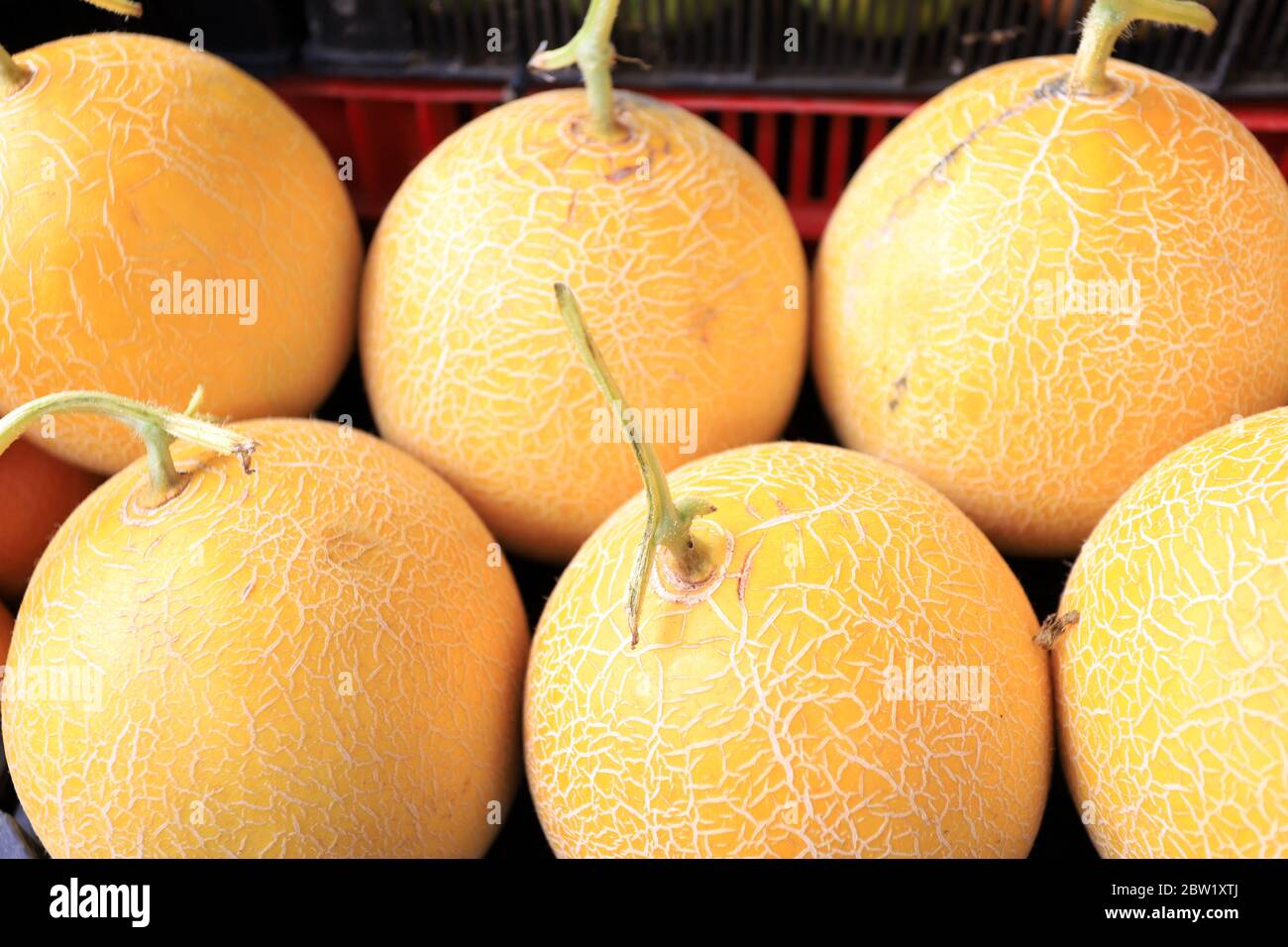 Bunch of melons hi-res stock photography and images - Alamy