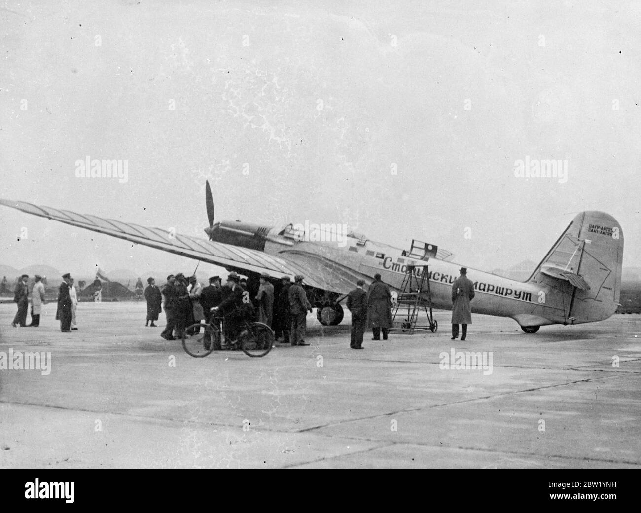 The black ant Black and White Stock Photos & Images - Alamy