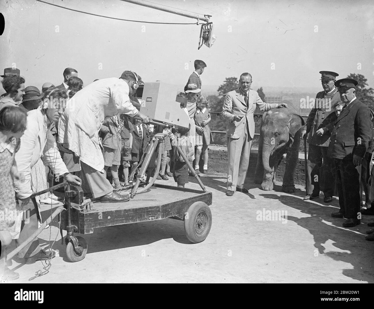 A general view of the animals being televised. Iris, the Shetland pony ...