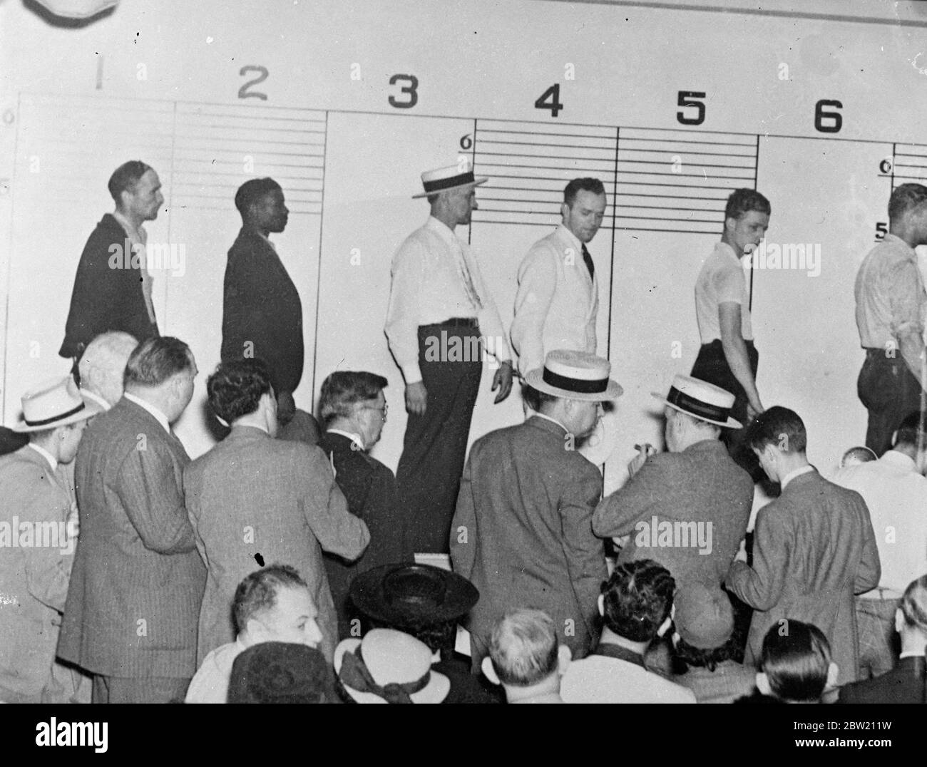 Bob Irwin Mad Sculptor