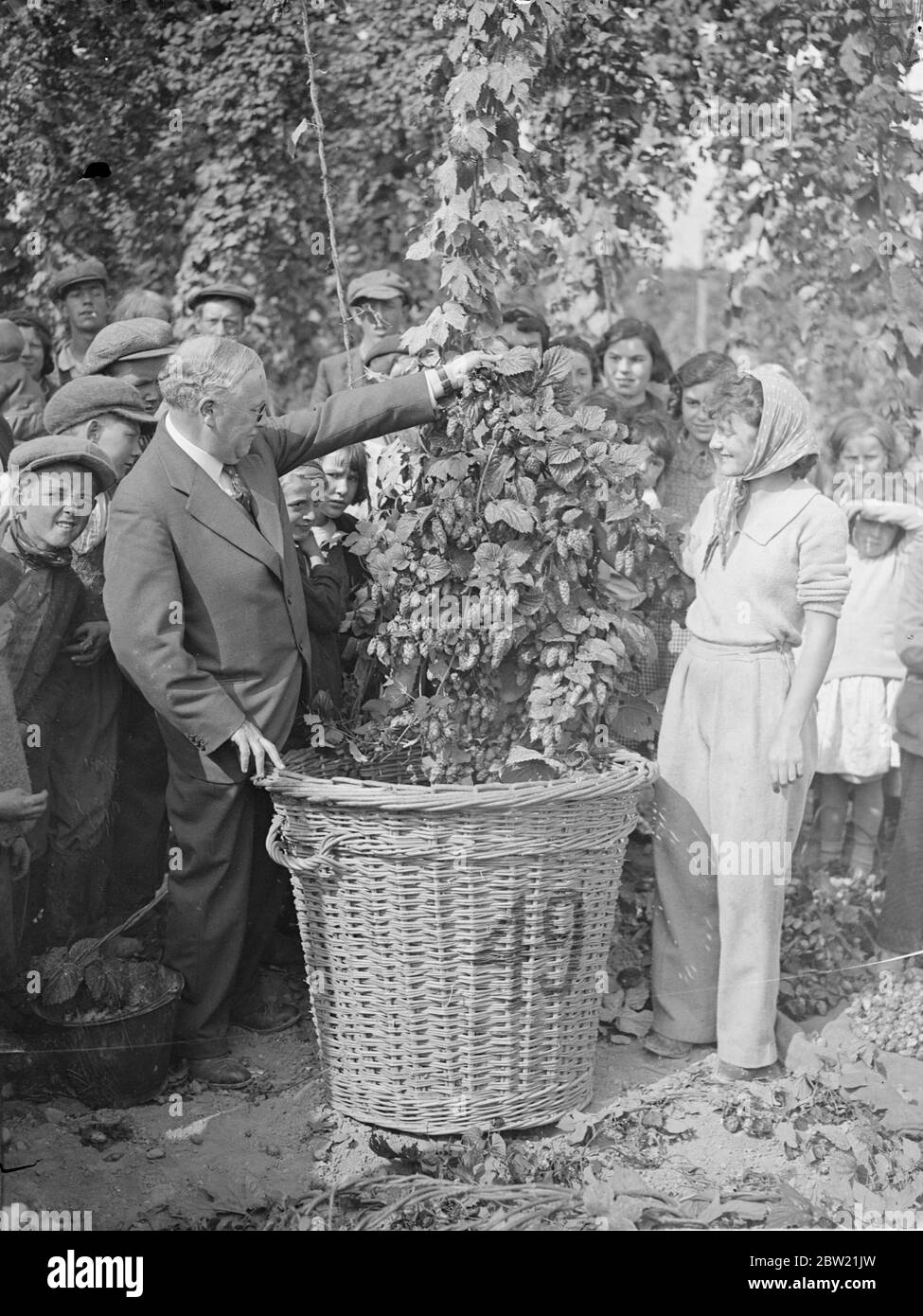 Kingsley fields hi-res stock photography and images - Alamy