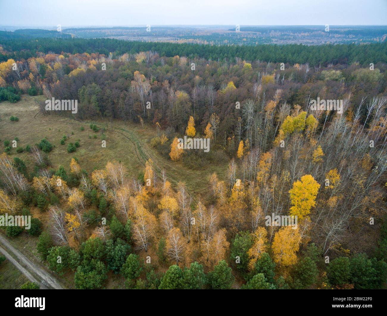 country road, view from above, aerial view Stock Photo - Alamy