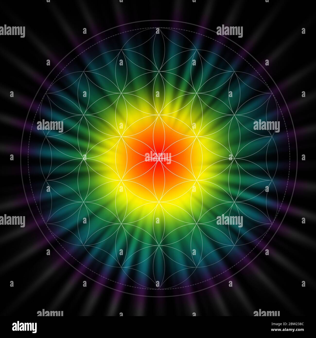Flower Of Life Color