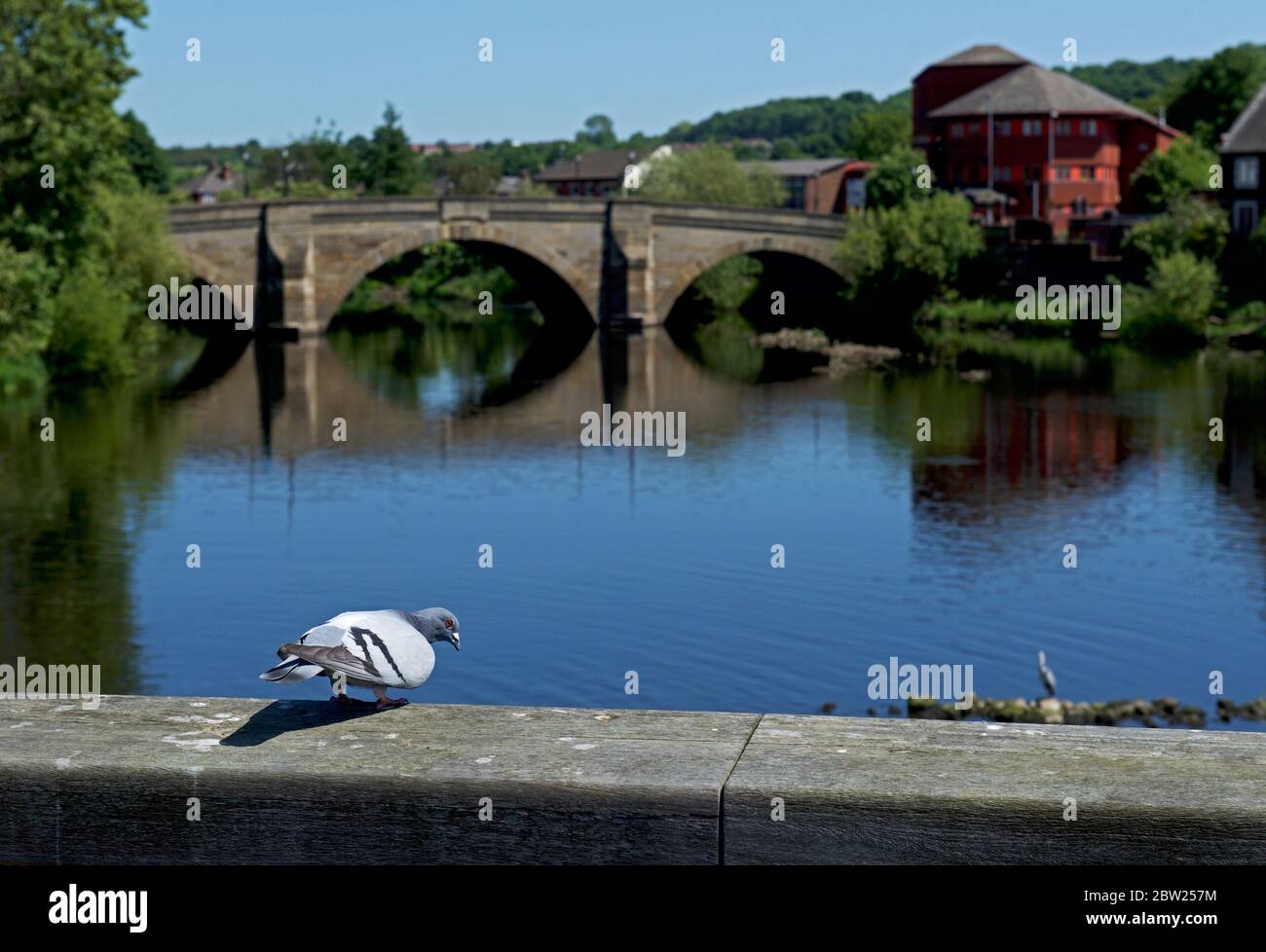 Old river aire bridge hi-res stock photography and images - Alamy