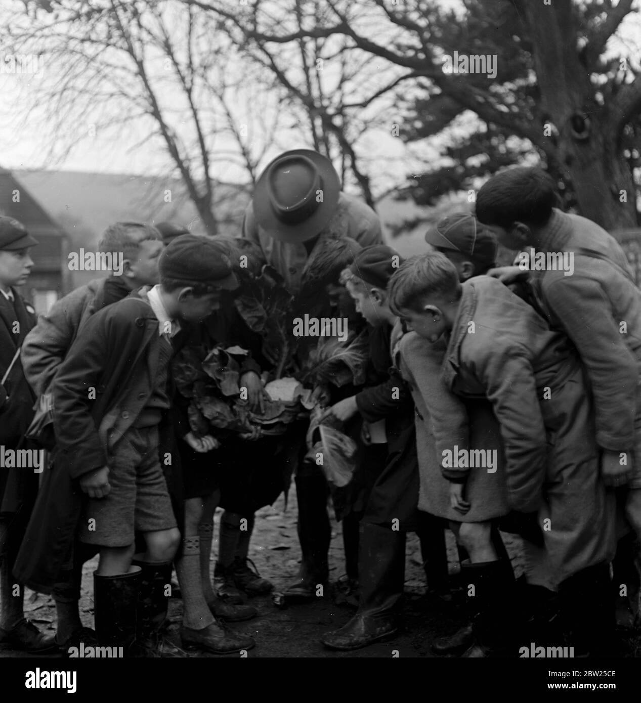 Monica Quan Keith Lawrence Funeral