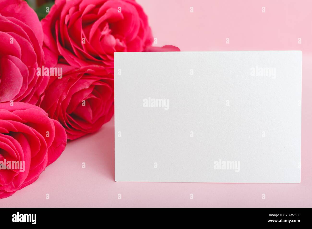 Flowers mock up congratulation. Congratulations card in bouquet of pink ...