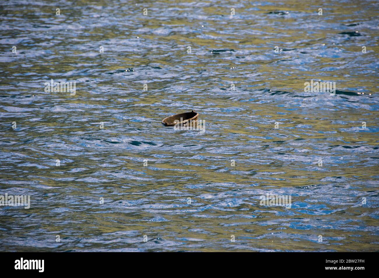 bucket floating int he water Stock Photo - Alamy