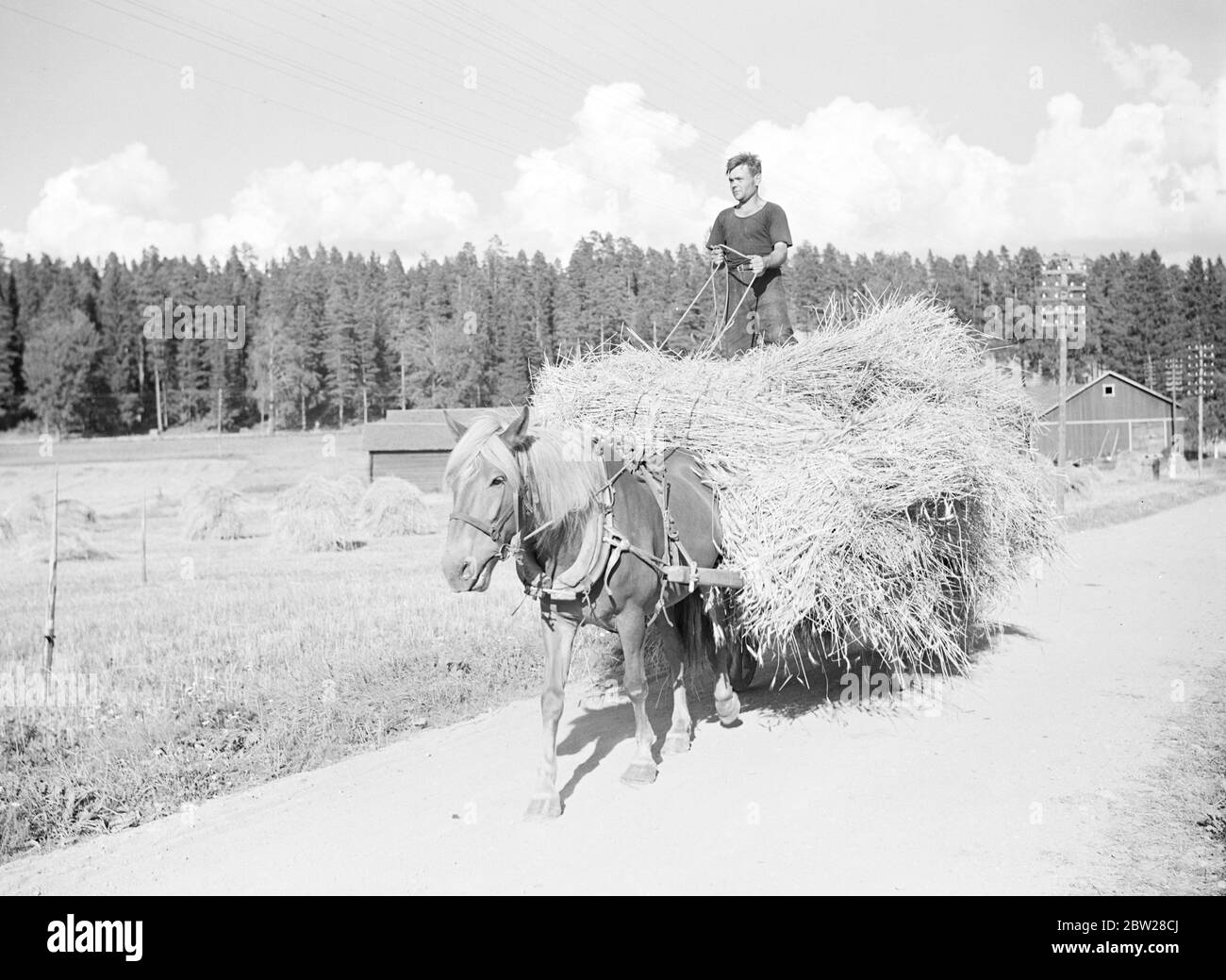 Farmers Finland - Finnish daily life Forest Academy of Korkeakoski 1939 ...