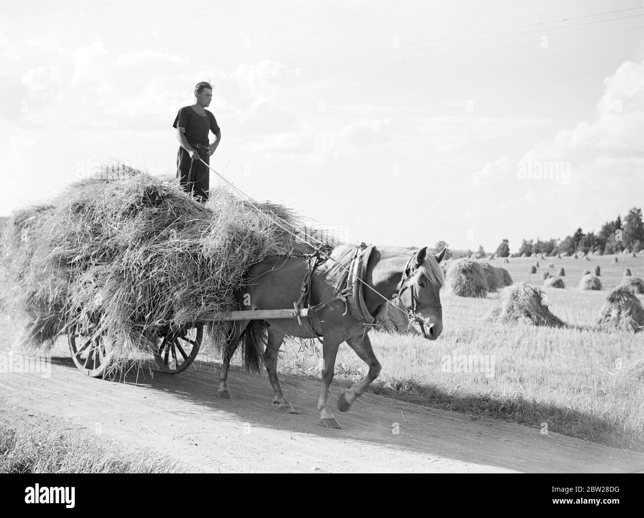 Archival Finnish People High Resolution Stock Photography and Images ...