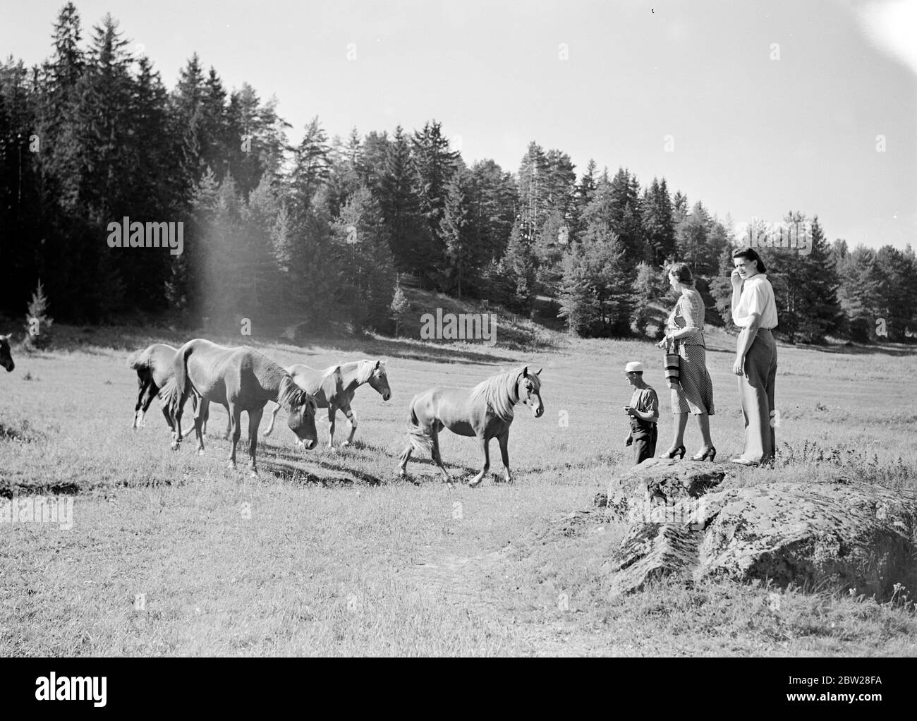 Mannerheim line hi-res stock photography and images - Alamy